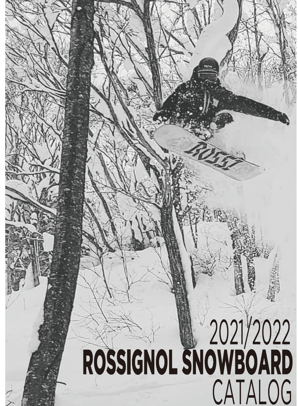 ロシニョール スキー板 旧モデル カタログで見る進化の軌跡